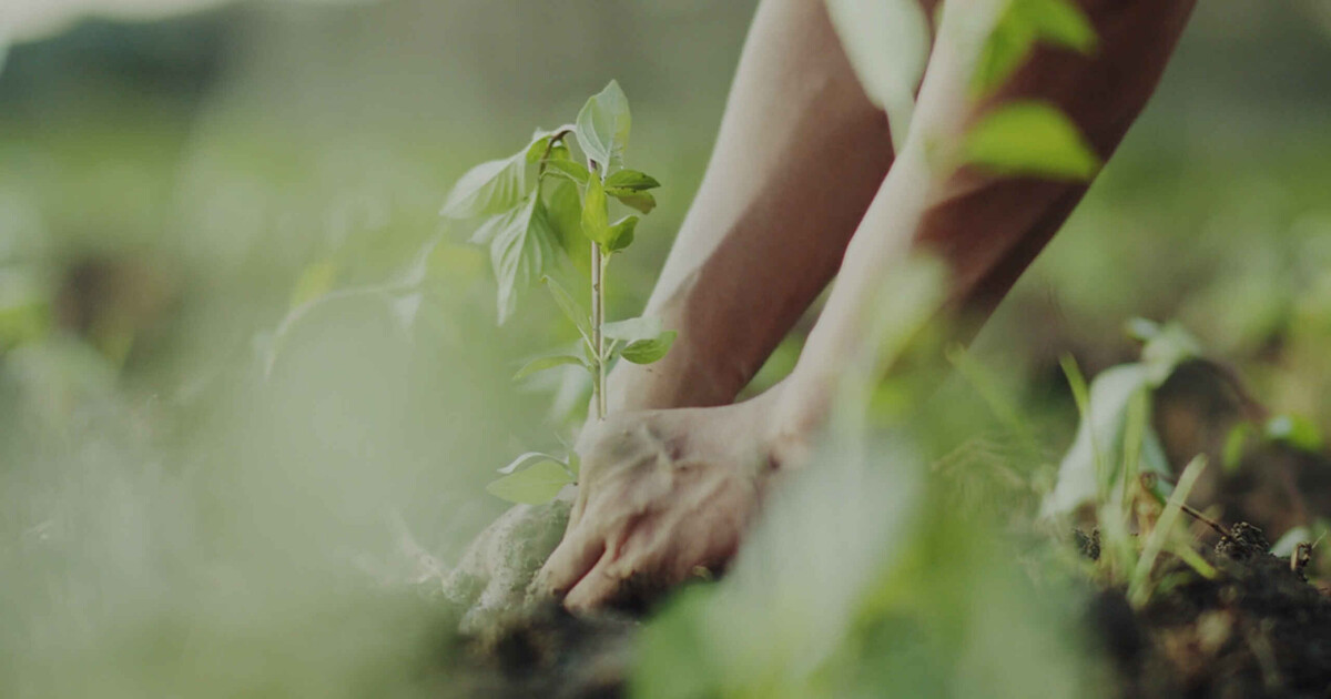 Indigenous Knowledge & Traditional Food Systems | Farmer’s Footprint