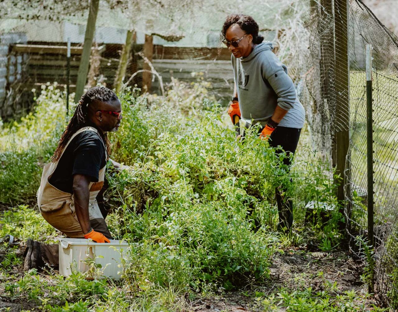Gilliard Farms - Farmer's Footprint